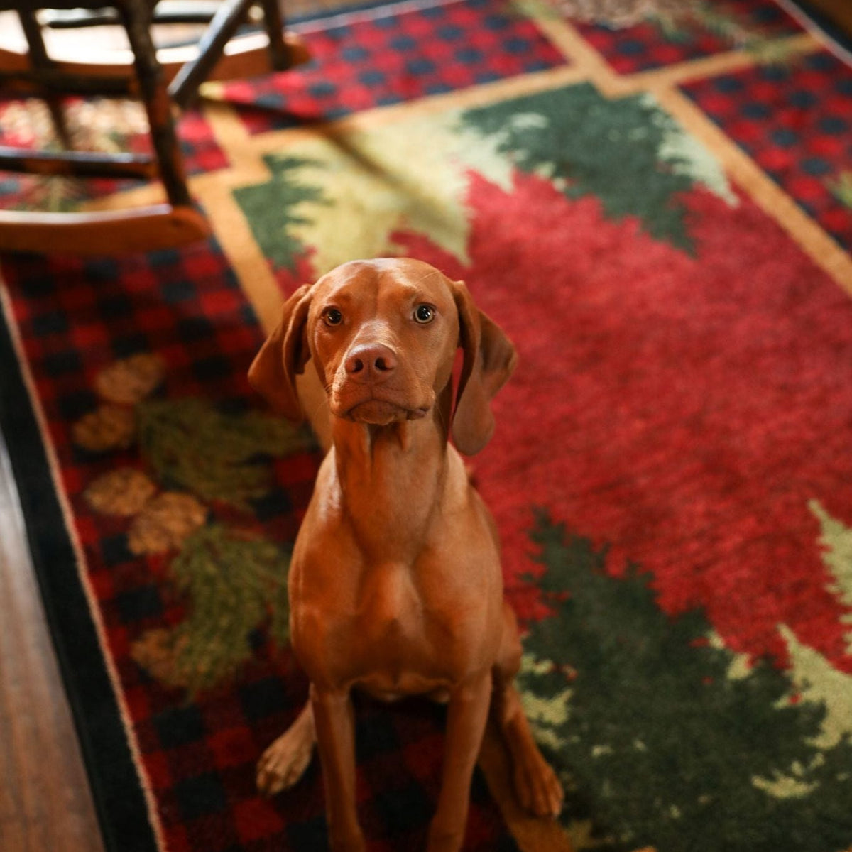 Plaid Woodsman Area Rugs | USA Made | Your Western Decor – Blue ...